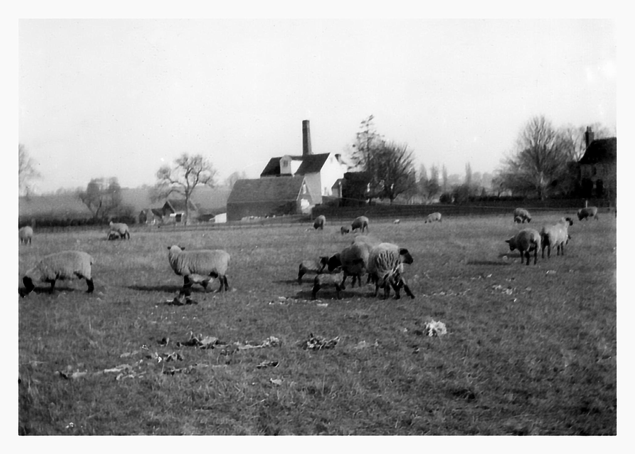 Foxearth and District LHS Borley Parish Gallery